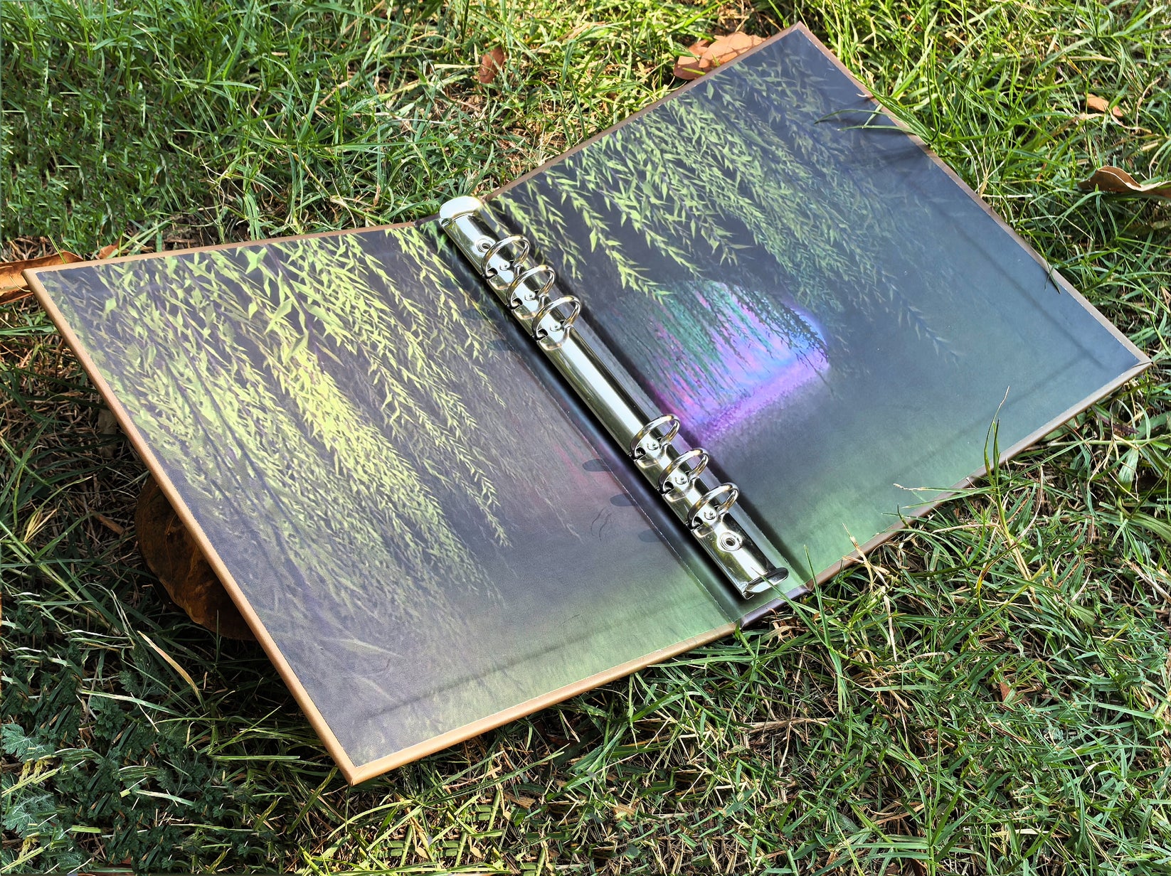 The secret door collect book – BB LittleThing